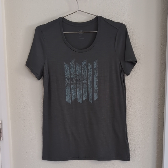 Icebreaker | Tops | Icebreaker Merino Wool Graphic Tee | Poshmark